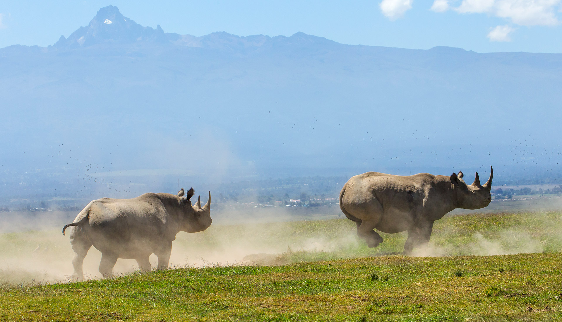 Galerie Huftiere | Reinhard Radke - Nature Photography